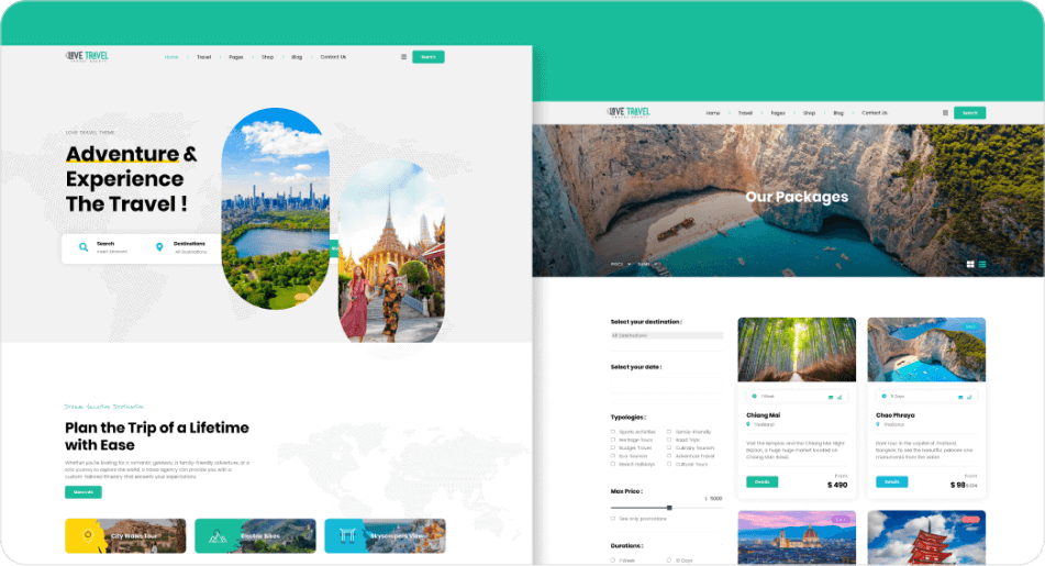 Travel Agency Website Design